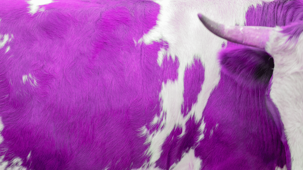 Principle #2: Be a Purple Cow in a Purple Niche - Art of Scale